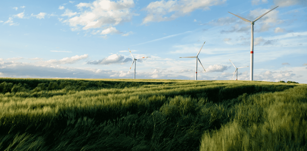 Eco-friendly Driving: Save Fuel & The Environment - Rated Driving