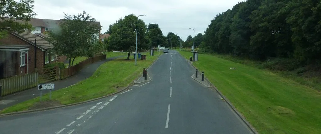 Priority Chicanes – Rated Driving