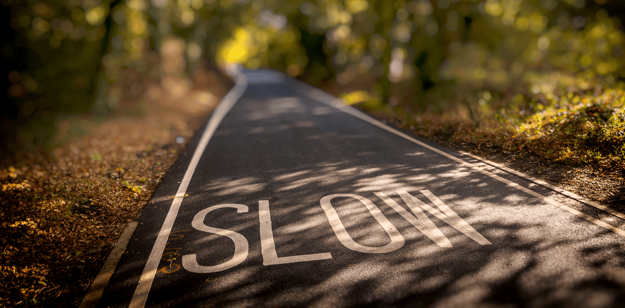 UK Road Markings | Everything You Need To Know - Rated Driving