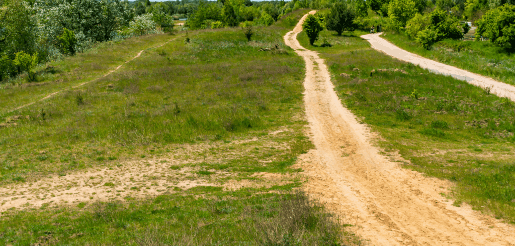 Driving On Country Roads: The Ultimate Guide - Rated Driving